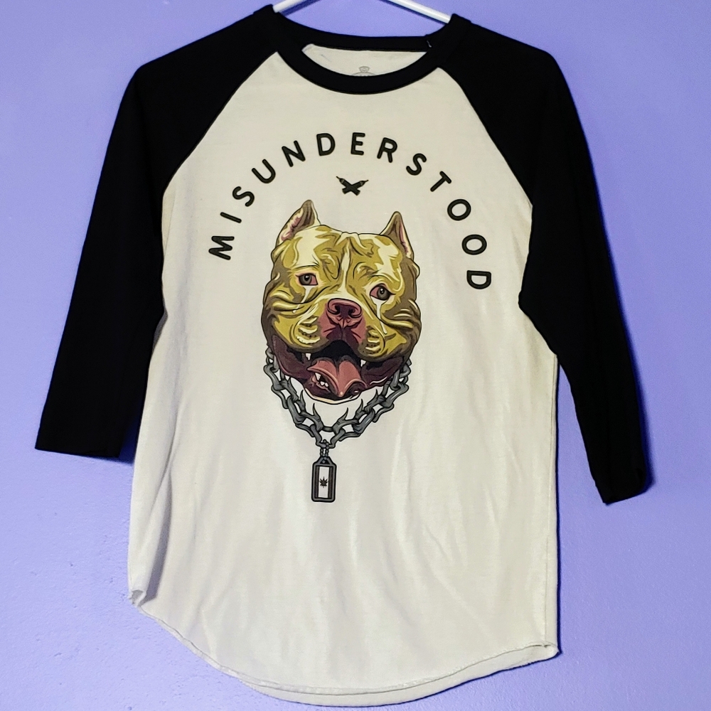 Entree Ls Misunderstood Pitbull Raglan Tee - Gem